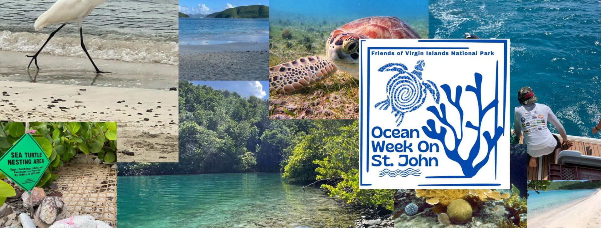 Happy Ocean Week! - Friends of Virgin Islands National Park