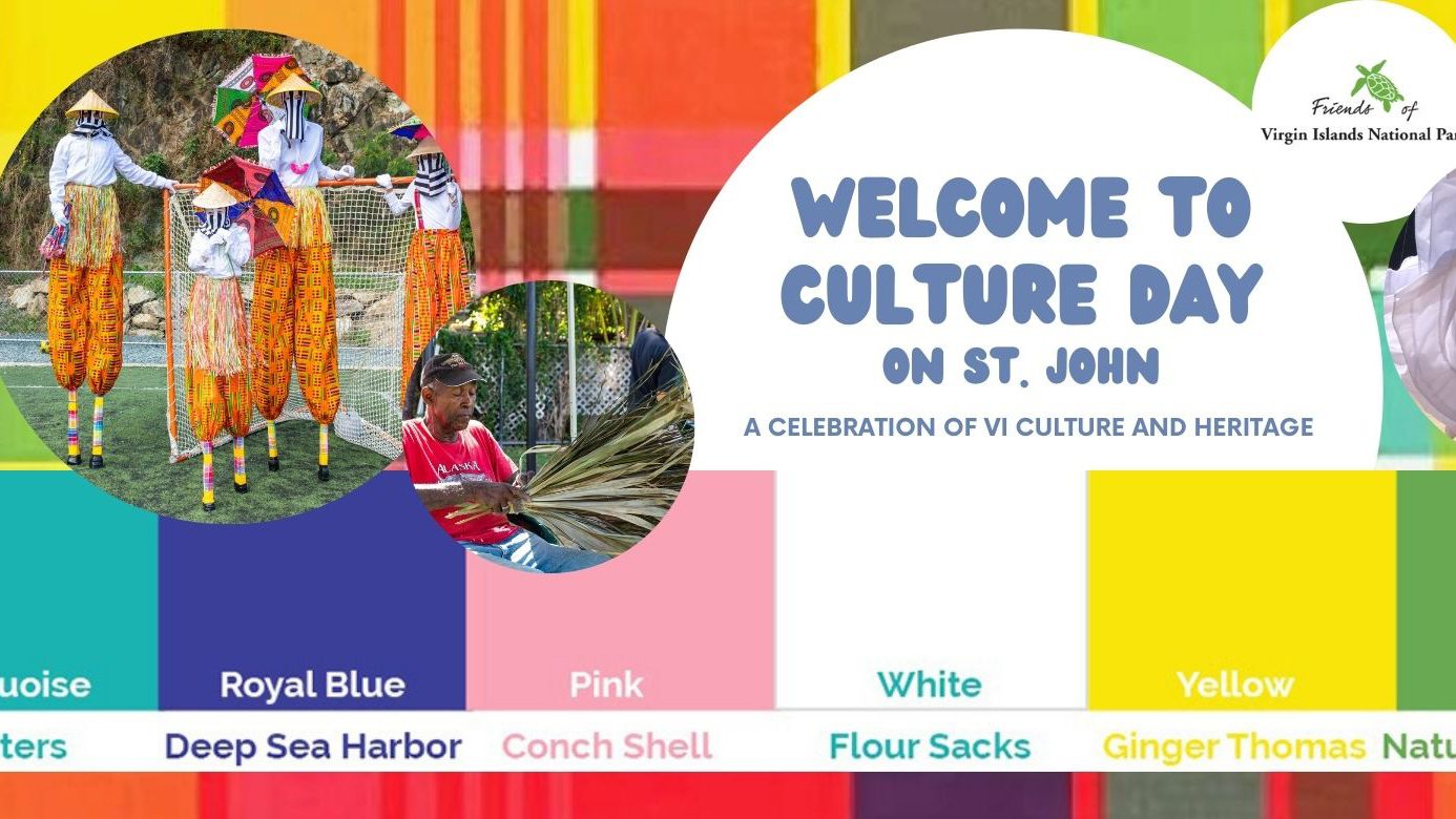 Photo Focus: Students Celebrate Virgin Islands Heritage at Annual ...