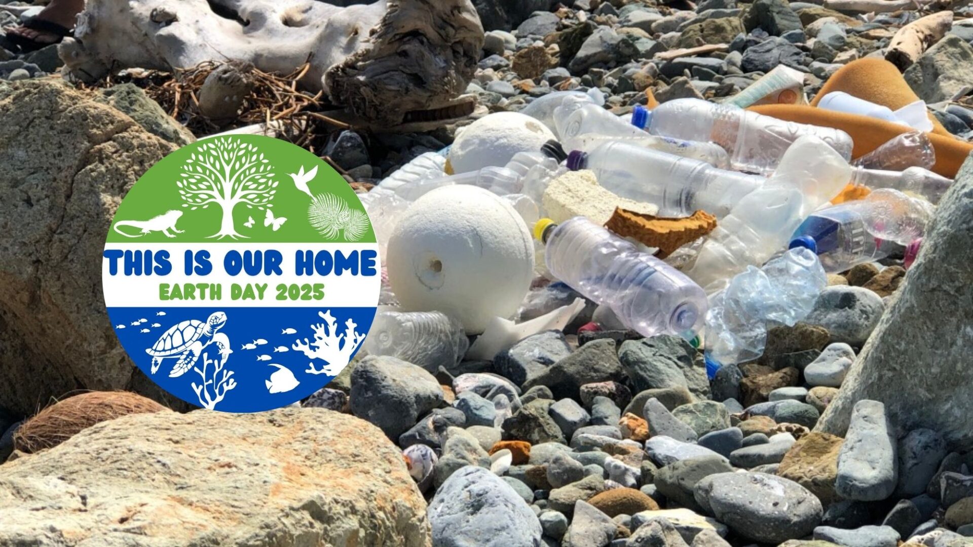 Earth Week Coastal Cleanup | Drunk Bay - Friends of Virgin Islands ...